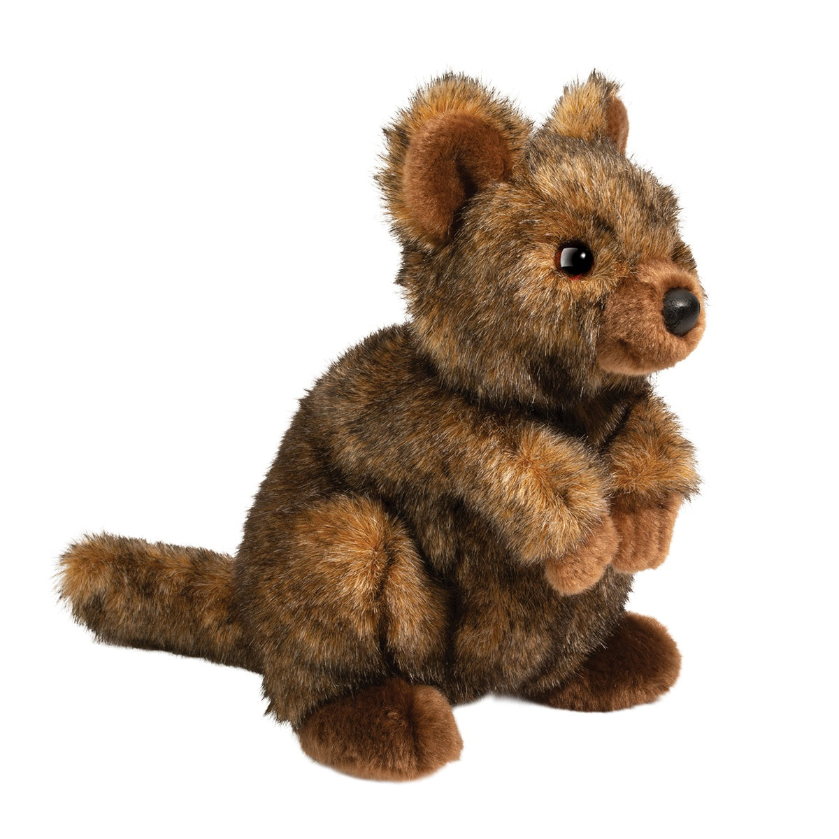 Quinn Quokka – The Curious Bear Toy & Book Shop